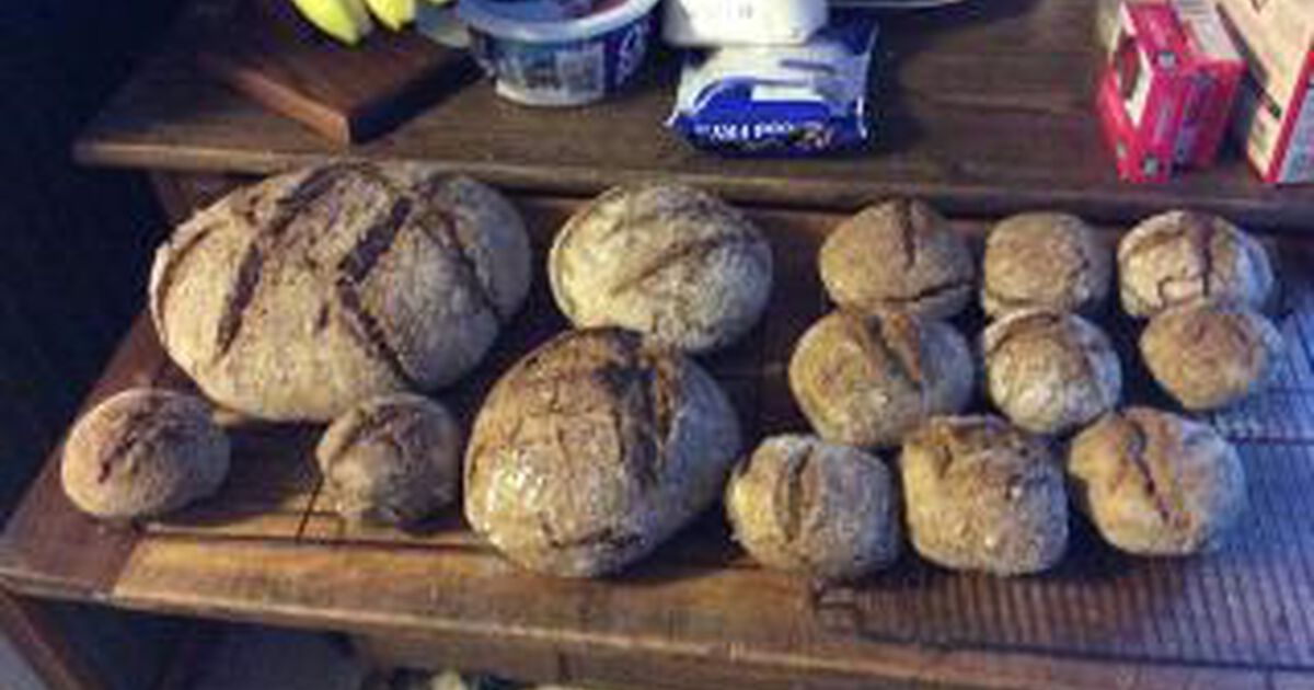 Wheat Bran Bread - Medium 1 1/2 Lbs. - Recipes - Cuisinart