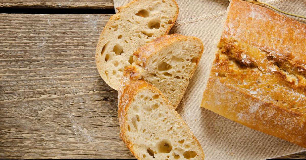 Rustic Italian Bread (for food processor) - Recipes - Cuisinart